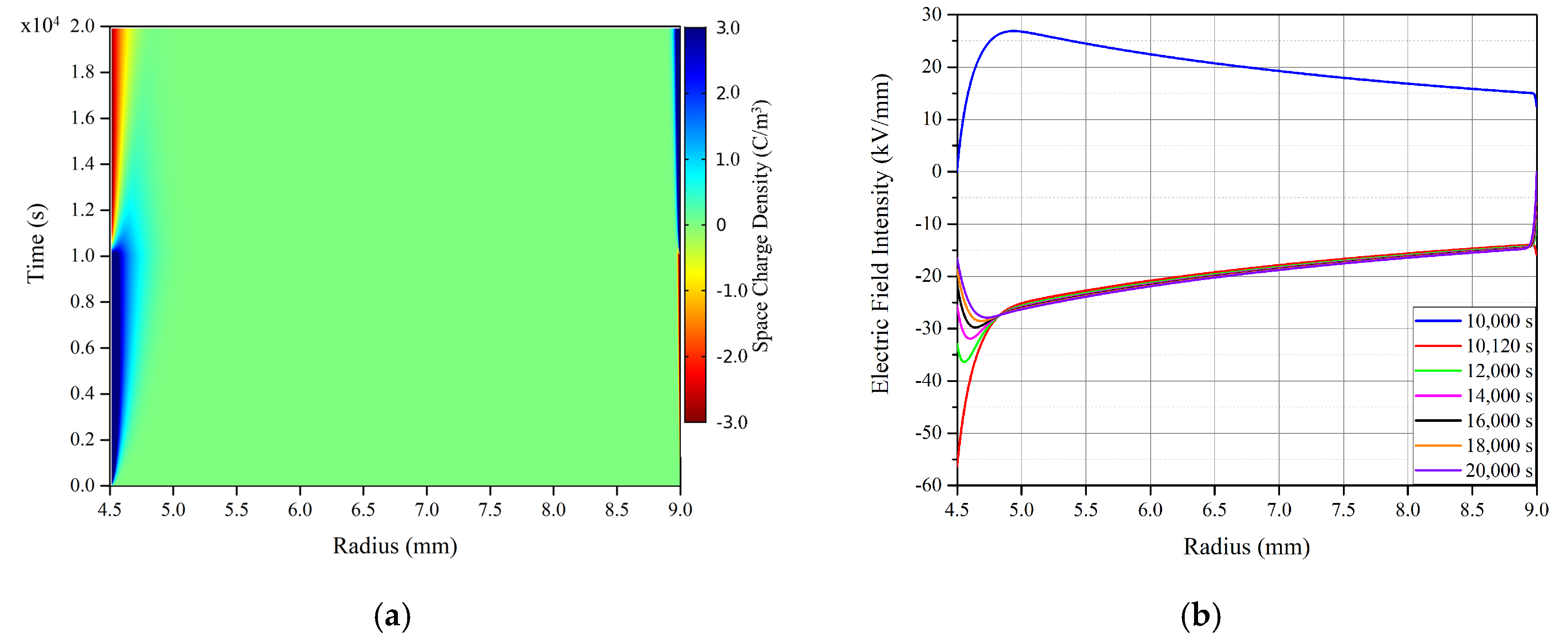Numerical Analysis of Space Charge Behavior and Transient Electric ...