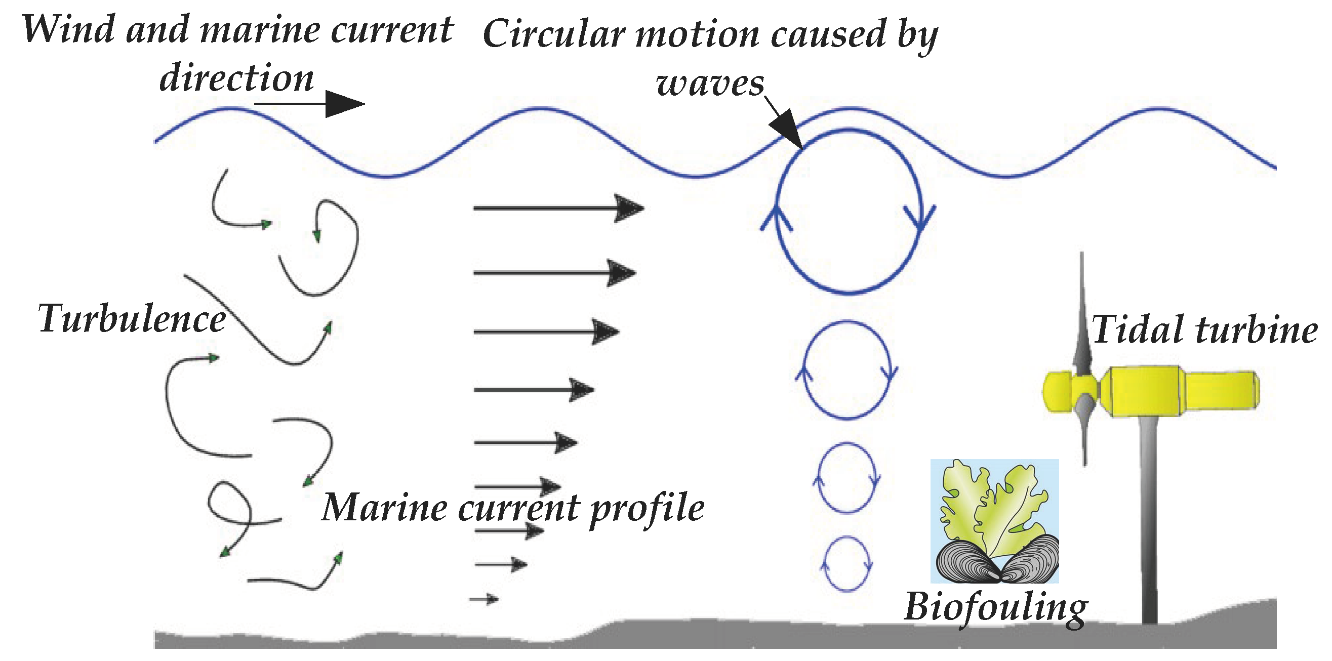 Higher-Order Spectra Analysis-Based Diagnosis Method of Blades Biofouling in a PMSG Driven Tidal ...