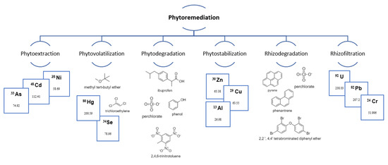 Phytoremediation—From Environment Cleaning to Energy Generation—Current ...