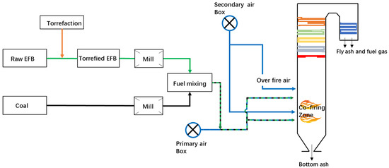 Feasibility Study of Co-Firing of Torrefied Empty Fruit Bunch and Coal ...
