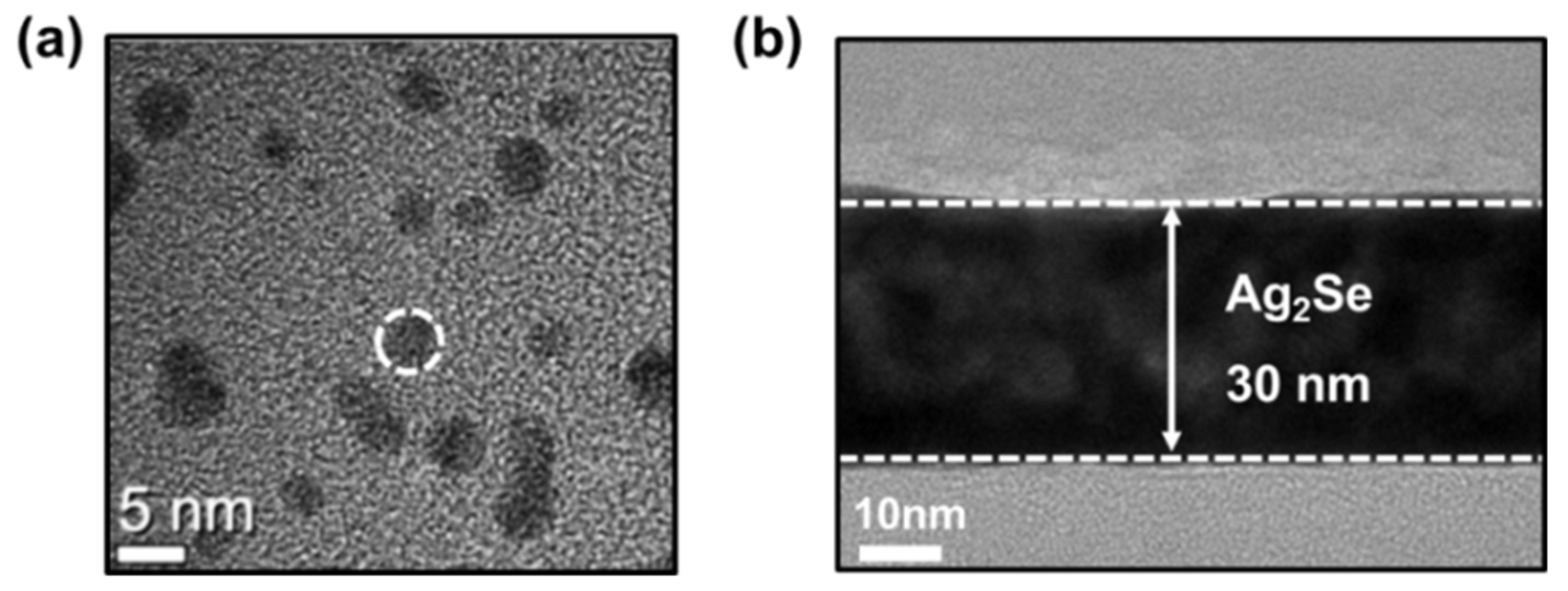 Enhanced Thermoelectric Characteristics of Ag2Se Nanoparticle Thin ...