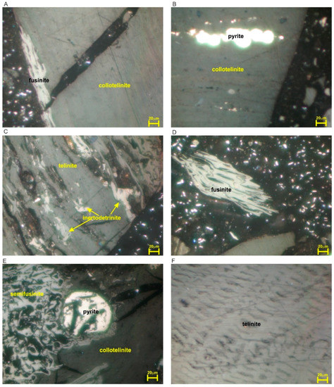 Petrographic Characteristics of Coal Gasification and Combustion by ...