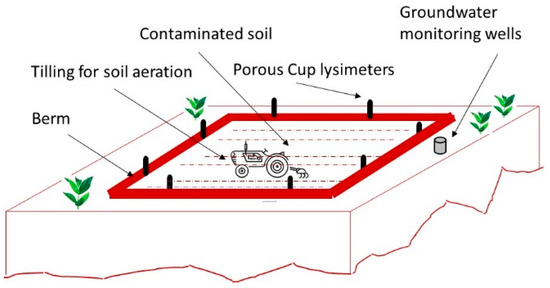 Soil Bioremediation: Overview of Technologies and Trends