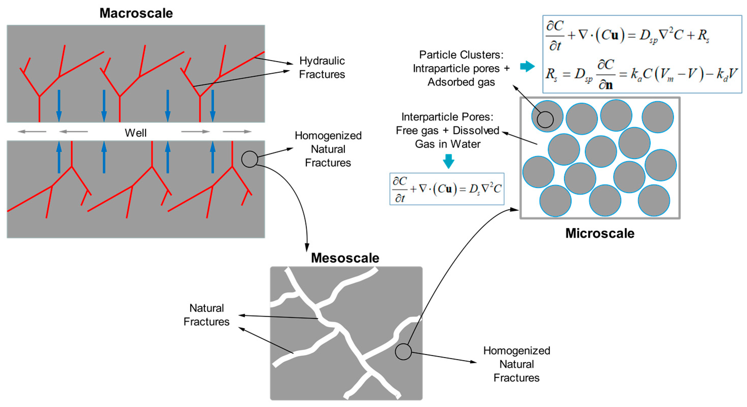 Energies | Free Full-Text | Pore-Scale Lattice Boltzmann Simulation of Gas Diffusion–Adsorption ...
