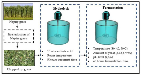 Simulation of Mixing Intensity Profile for Bioethanol Production via ...