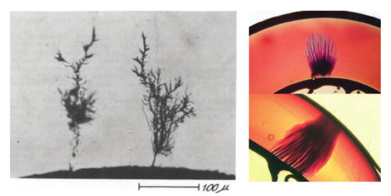Numerical Simulation for Void Coalescence (Water Treeing) in XLPE ...
