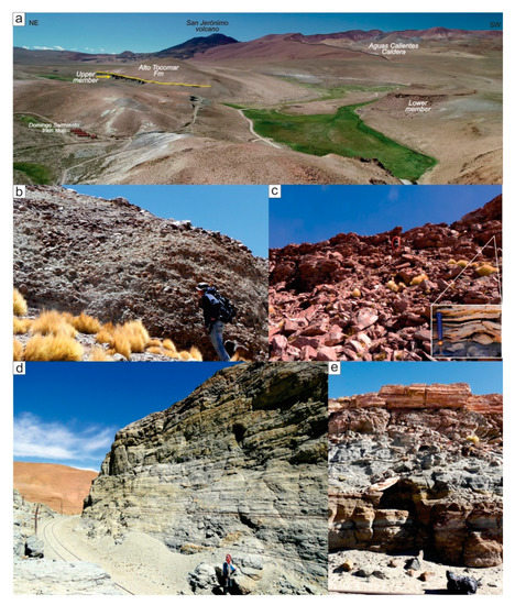 Geological Map of the Tocomar Basin (Puna Plateau, NW Argentina ...