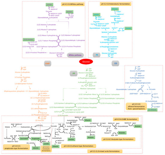 Oriented Fermentation of Food Waste towards High-Value Products: A Review