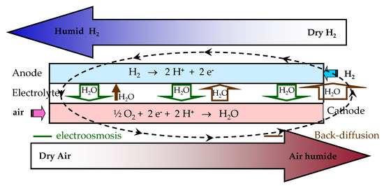 Hydrogen Fuel Cell Road Vehicles: State of the Art and Perspectives