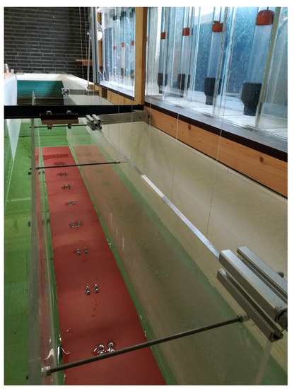 Wave Energy Extraction by Flexible Floaters