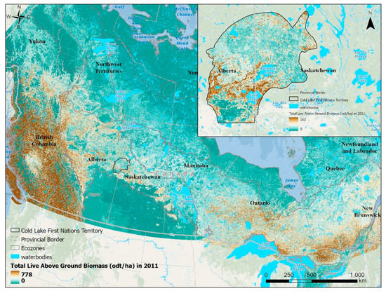 Woody Biomass Mobilization for Bioenergy in a Constrained Landscape: A ...