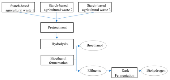 Prospects for the Improvement of Bioethanol and Biohydrogen Production ...