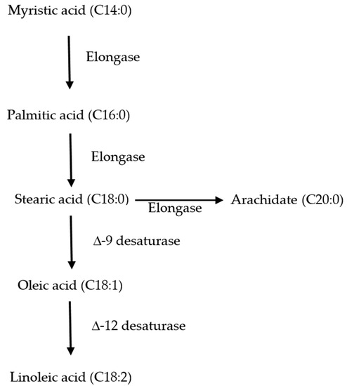 Energies | Free Full-Text | Biomass and Lipid Productivity by Two Algal Strains of Chlorella ...