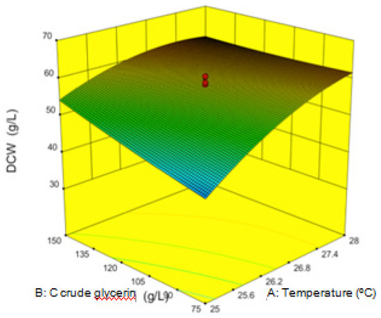 Optimizing Docosahexaenoic Acid (DHA) Production by Schizochytrium sp ...