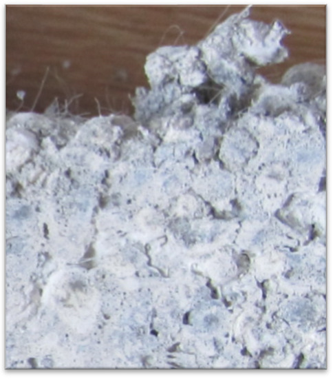 Polystyrene Waste in Panels for Thermal Retrofitting of Historical ...