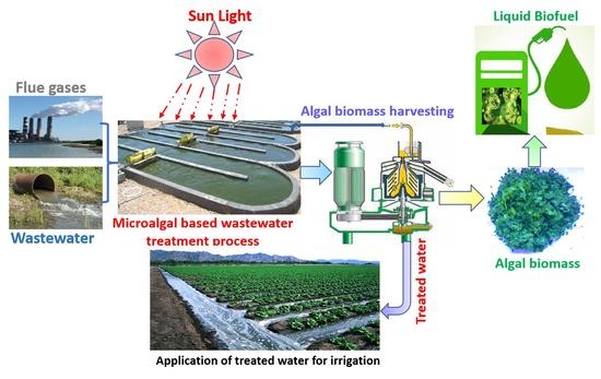 Energies | Free Full-Text | Integrated Approach for Wastewater Treatment and Biofuel Production ...