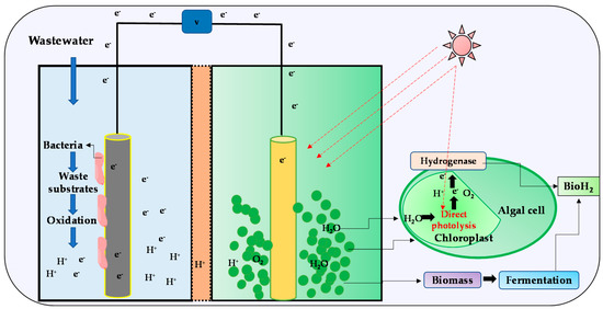 Energies | Free Full-Text | Integrated Approach for Wastewater Treatment and Biofuel Production ...