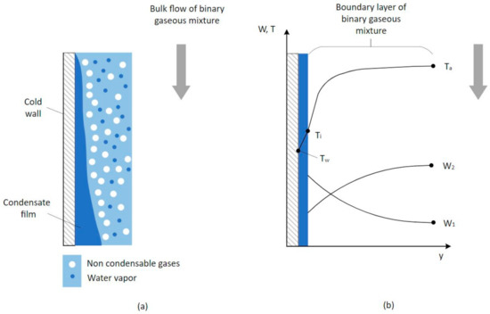 Performance of the Condensation Process for Water Vapour in the ...
