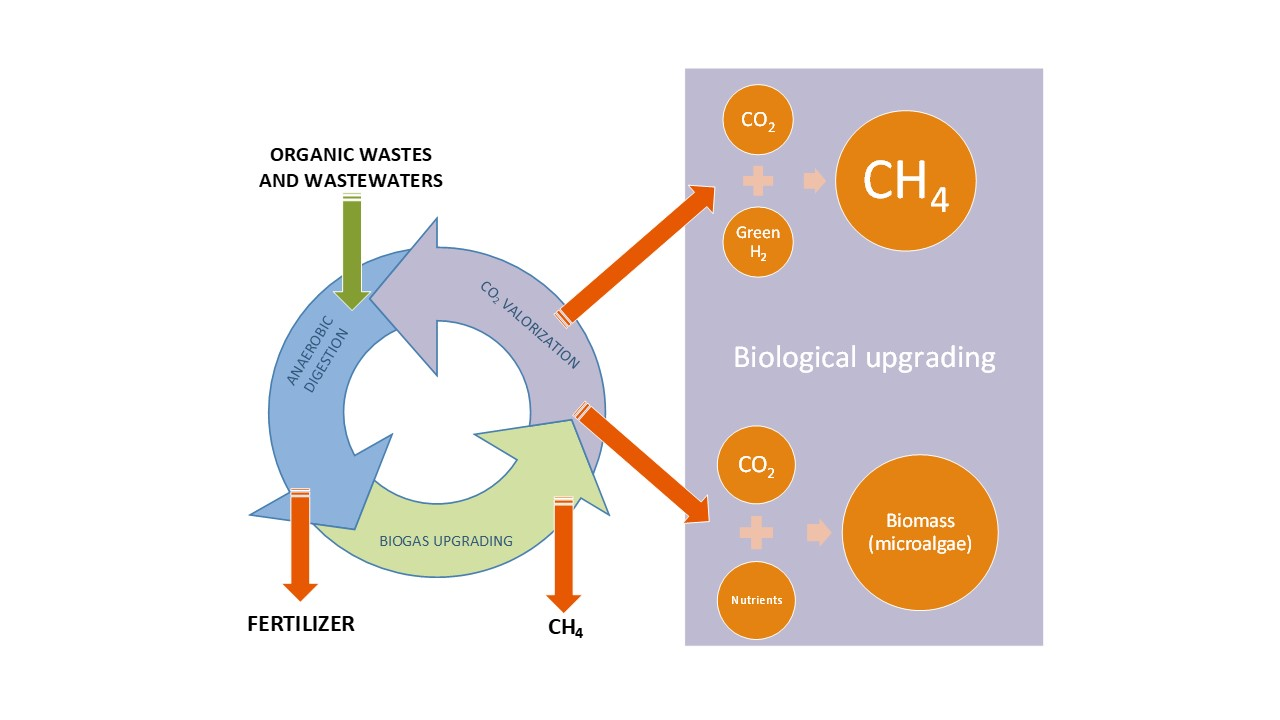 Energies | Free Full-Text | Biogas from Anaerobic Digestion as an ...