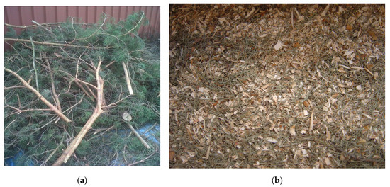 Evaluation of Mechanical and Energetic Properties of the Forest ...
