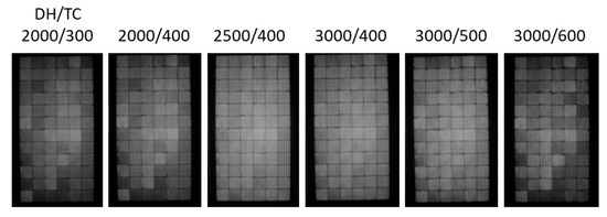 Performance Evaluation of Photovoltaic Modules by Combined Damp Heat ...