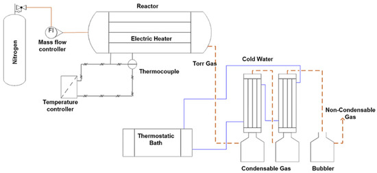 Valorization of Prosopis juliflora Woody Biomass in Northeast Brazilian ...
