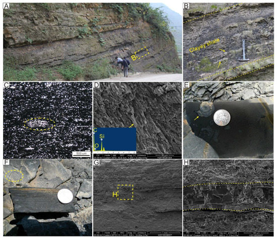 Characteristics of Mineralogy, Lithofacies of Fine-Grained Sediments ...