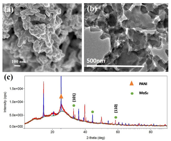Effect of Molybdenum Disulfide on the Performance of Polyaniline Based ...