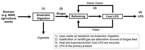 BioLPG for Clean Cooking in Sub-Saharan Africa: Present and Future ...