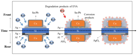 A Review of the Degradation of Photovoltaic Modules for Life Expectancy