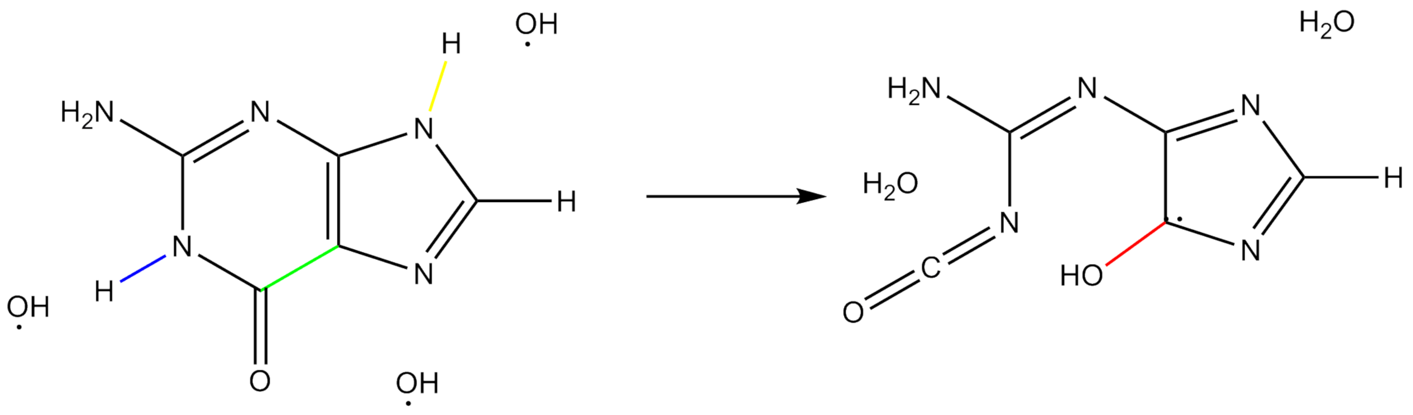 Ab-Initio Molecular Dynamics Simulation of the Electrolysis of Nucleobases