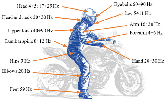 Analysis of the Effect of Mass Parameters on Motorcycle Vibration and ...