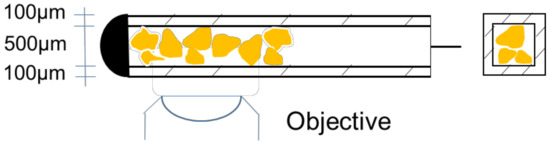 Combining Optical Microscopy and X-ray Computed Tomography Reveals ...