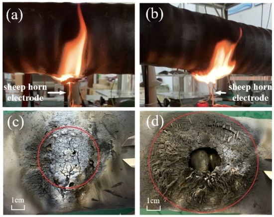Influence of Arc Size on the Ignition and Flame Propagation of Cable Fire