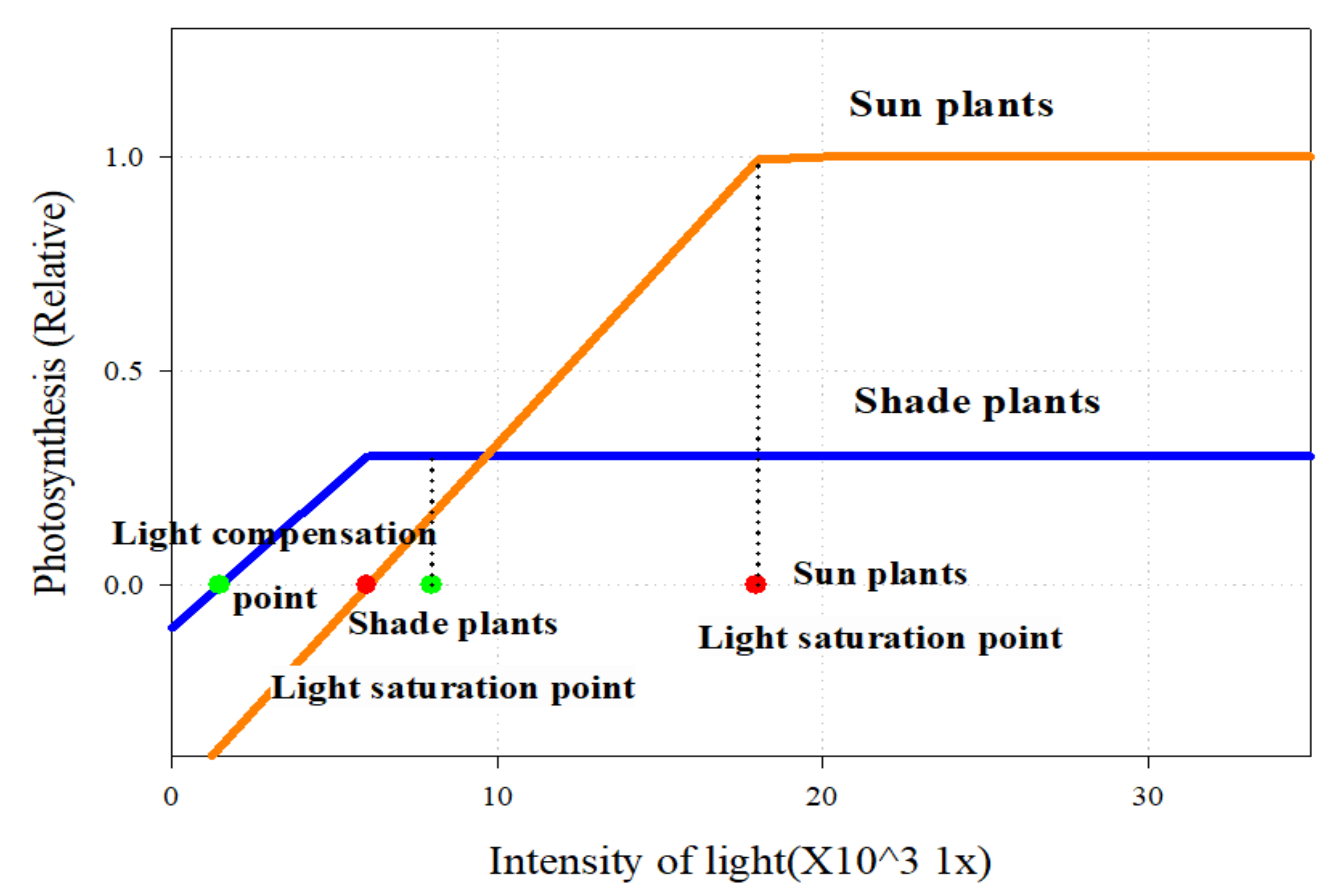 Simulation Analysis of Daylight Characteristics and Cooling Load Based ...
