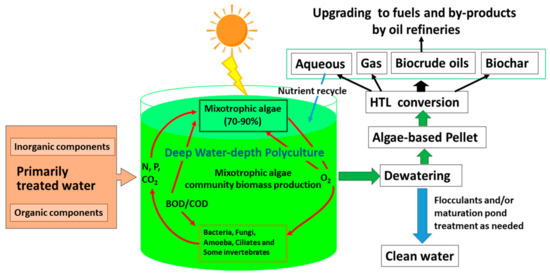 Biocrude Oil Production by Integrating Microalgae Polyculture and ...