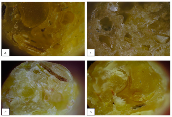 The Influence of the Pressure-Thermal Agglomeration Methods of Corn ...