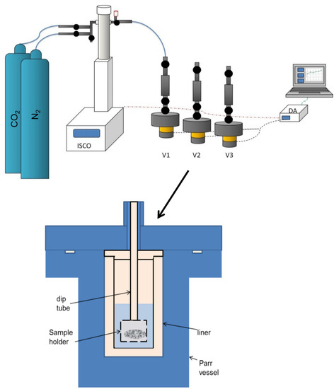 Micro CT and Experimental Study of Carbonate Precipitation from CO2 and ...
