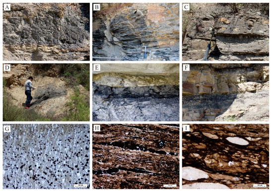 Energies | Free Full-Text | Paleoenvironment and Organic Matter ...