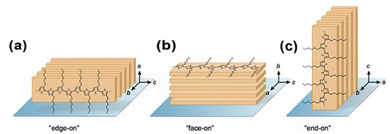Recent Advances of Film–Forming Kinetics in Organic Solar Cells