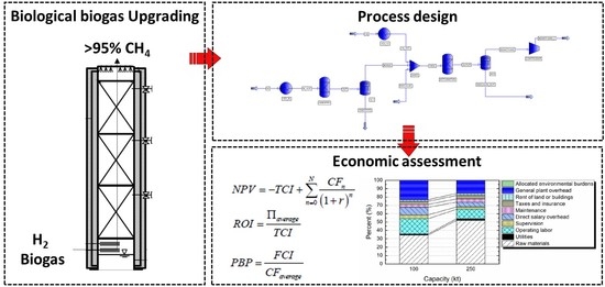 Energies | Free Full-Text | Techno-Economic Assessment of Biological ...