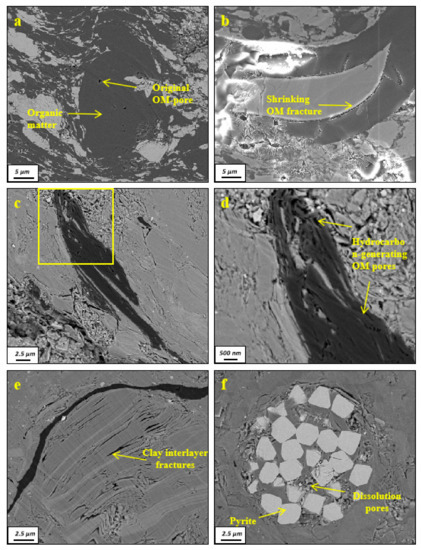 Integrated Assessment of Marine-Continental Transitional Facies Shale ...