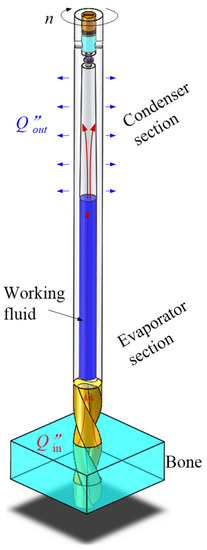 Thermal Management of Bone Drilling Based on Rotating Heat Pipe