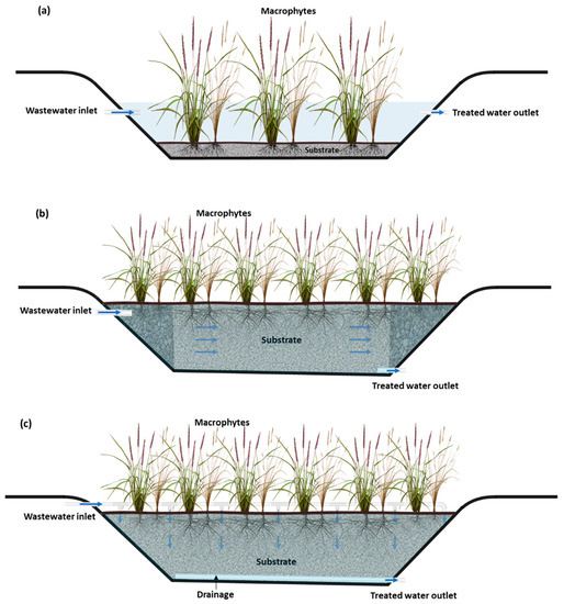 Potential Use of Constructed Wetland Systems for Rural Sanitation and ...