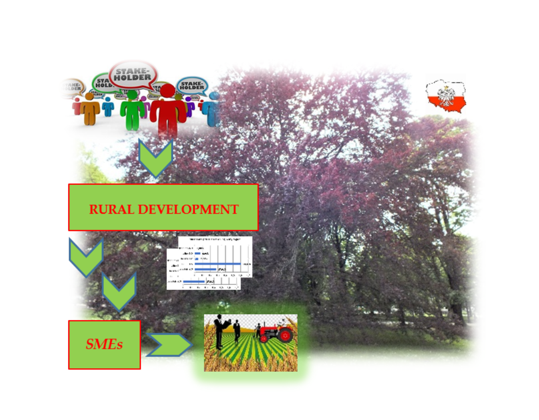 Energies | Free Full-Text | Which Stakeholders’ Sector Matters in Rural ...