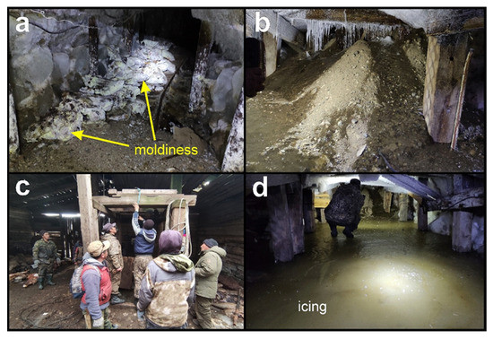 Energies | Free Full-Text | Thermal Simulation of Ice Cellars as a ...