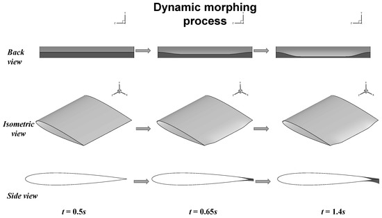 Effects of an Unsteady Morphing Wing with Seamless Side-Edge Transition ...