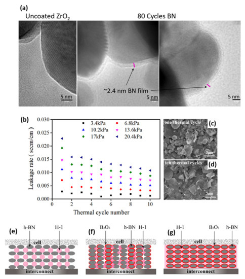 Towards Integration of Two-Dimensional Hexagonal Boron Nitride (2D h-BN ...