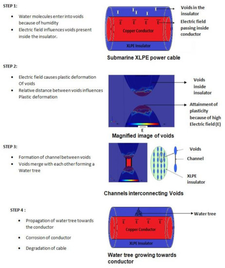 Numerical Simulation of Aging by Water-Trees of XPLE Insulator Used in ...