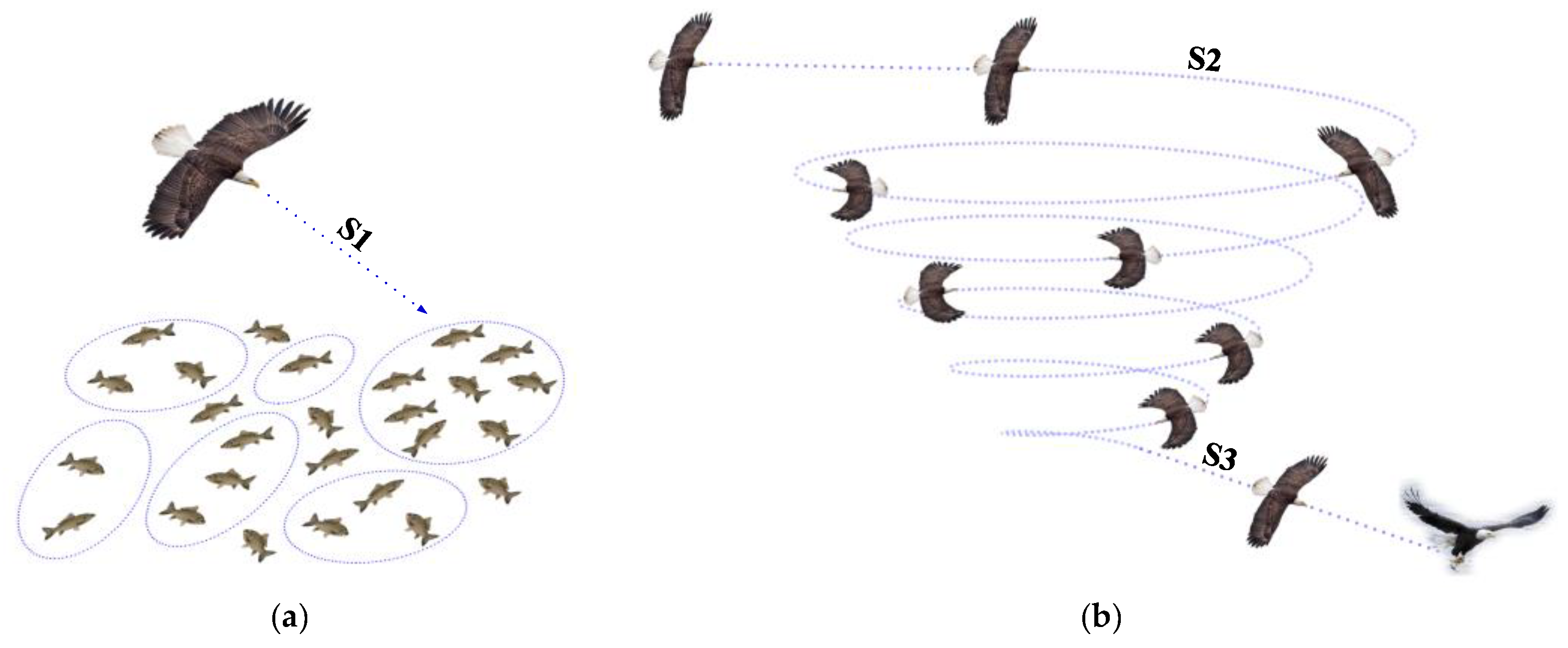 A Wind Power Forecasting Model Using LSTM Optimized by the Modified ...